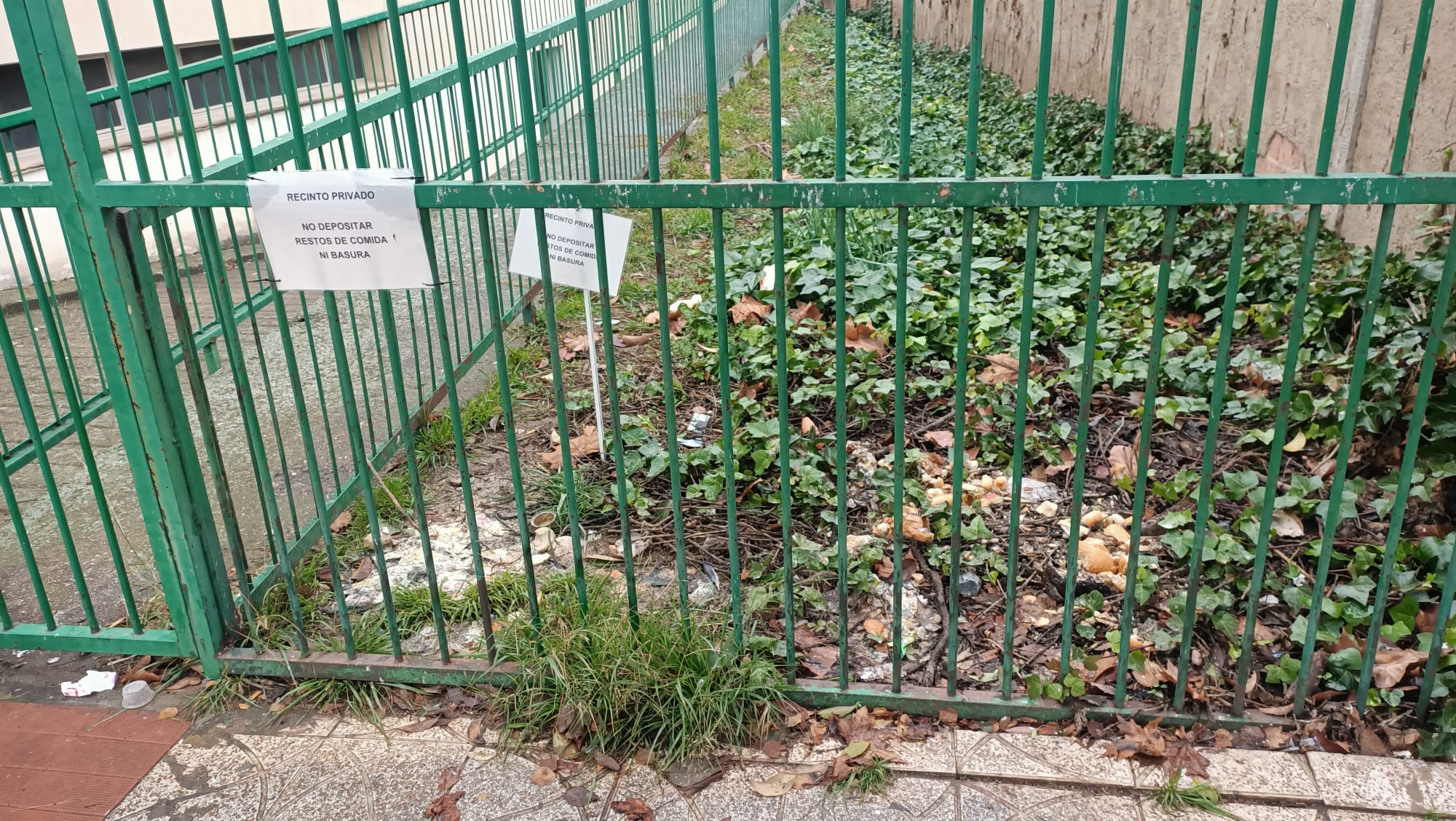 La antigua Escuela de Enfermería es un «estercolero» – La Guindilla ...